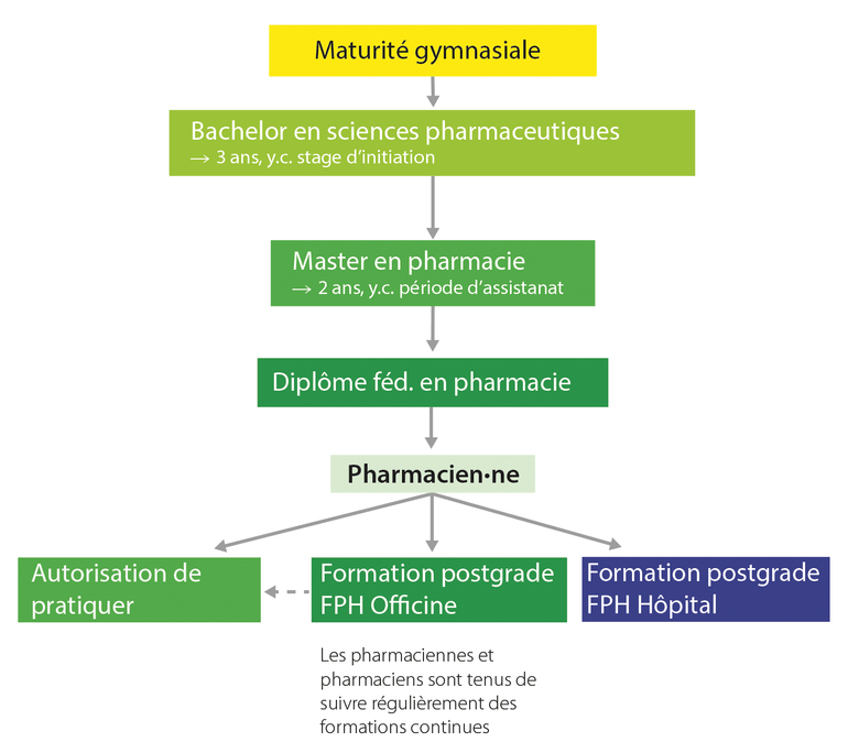 Formation de pharmacien·ne d’officine | pharmaSuisse
